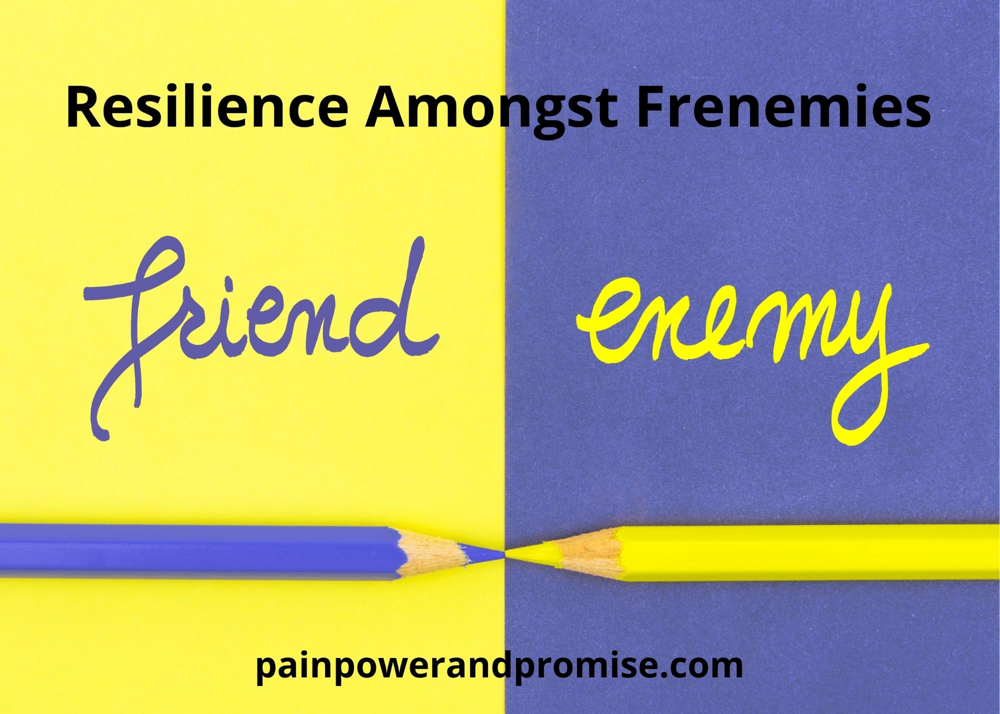 Resilience Amongst Frenemies - Nannette Oatley Johnson